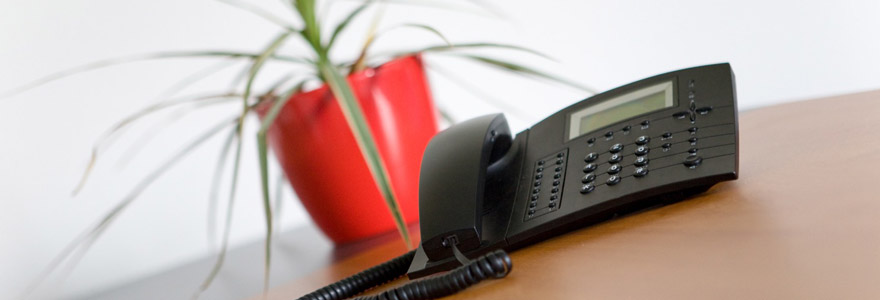 Fonctionnement de la standard téléphonique ip : comment?